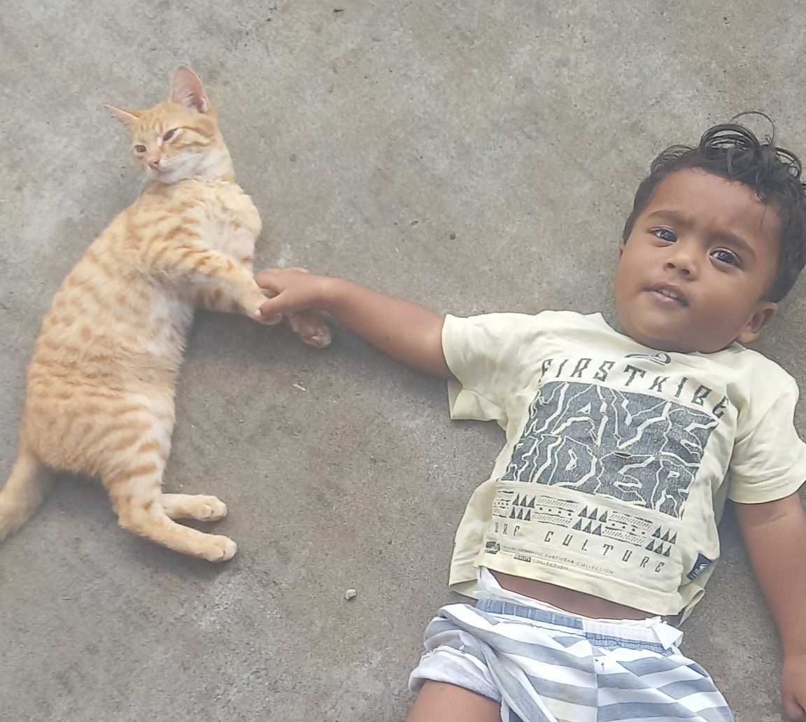 About us – Outback Hotel Fiji